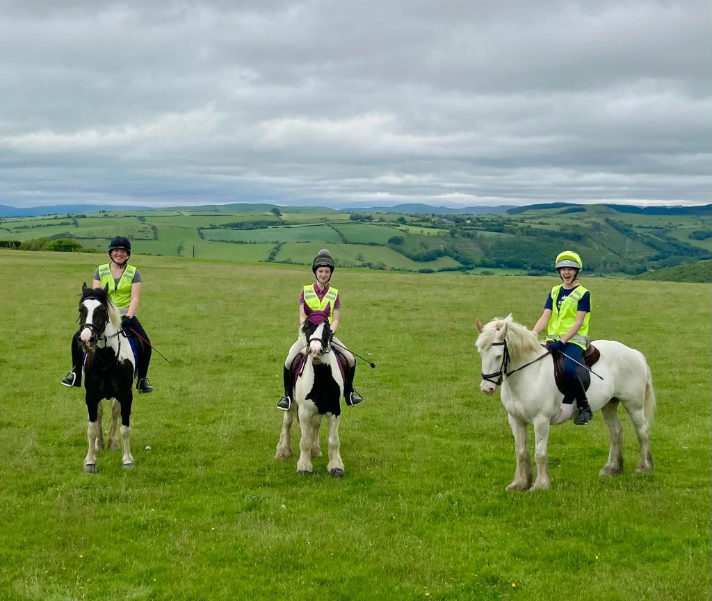 Leisure Riding - Rheidol Riding Centre