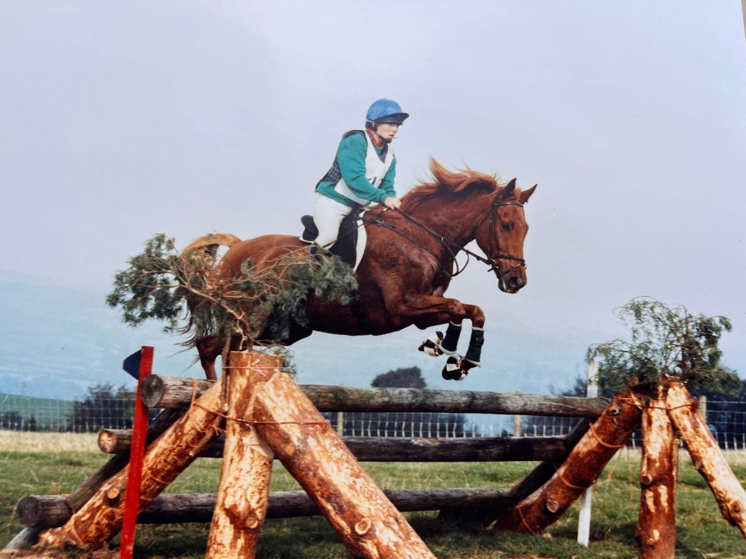 About Us - Rheidol Riding Centre